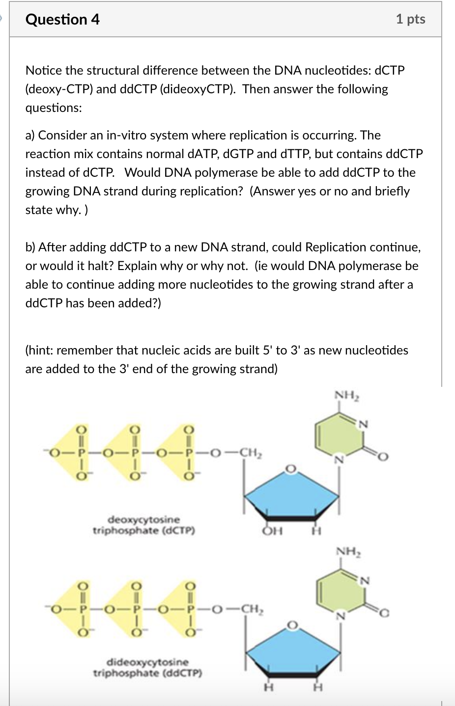 Solved Question 4 1 pts Notice the structural difference | Chegg.com