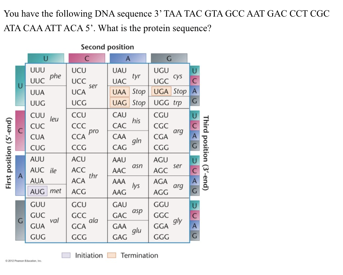 Solved You have the following DNA sequence 3' TAA TAC GTA | Chegg.com