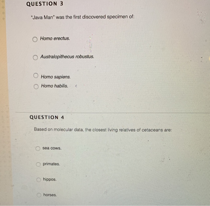 Solved QUESTION 3 "Java Man" was the first discovered | Chegg.com