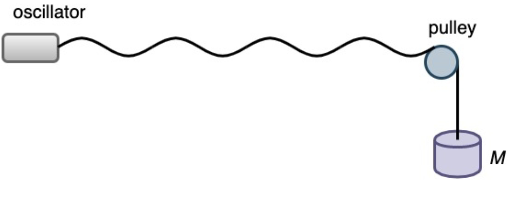 Solved In this assignment, waves travel along a string | Chegg.com