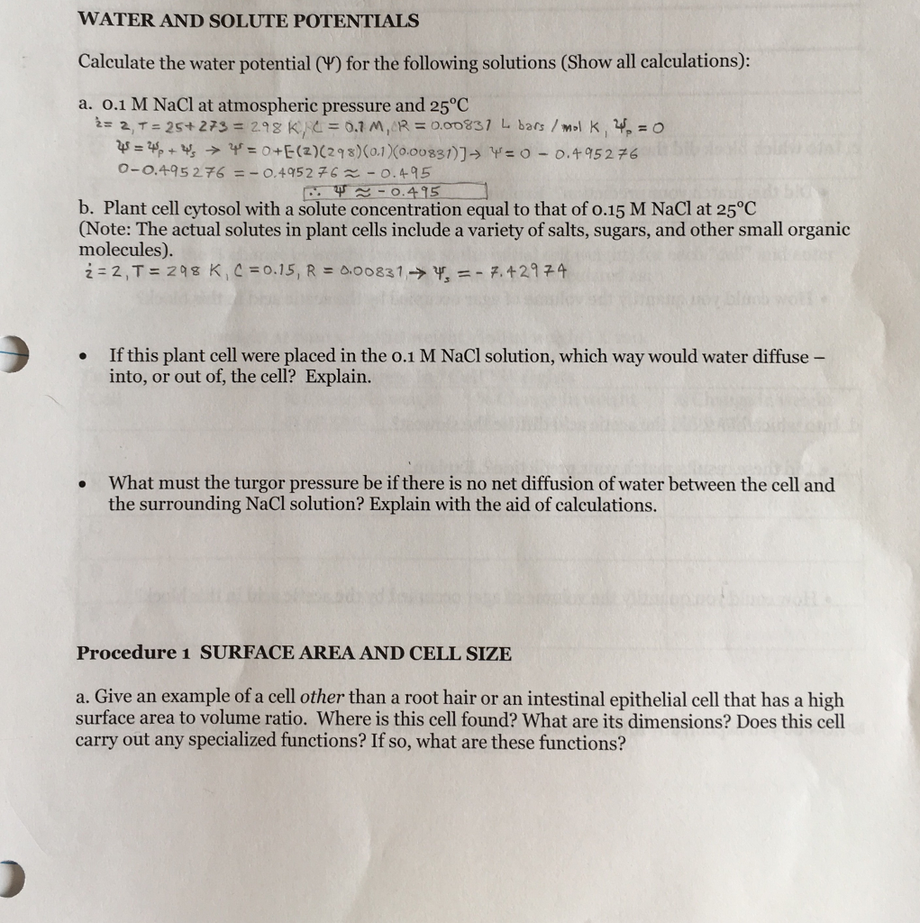 Solved WATER AND SOLUTE POTENTIALS Calculate the water | Chegg.com