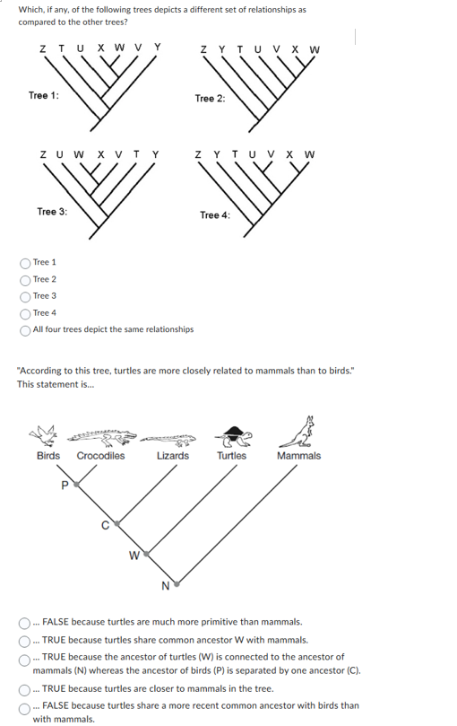 Solved Which, if any, of the following trees depicts a | Chegg.com