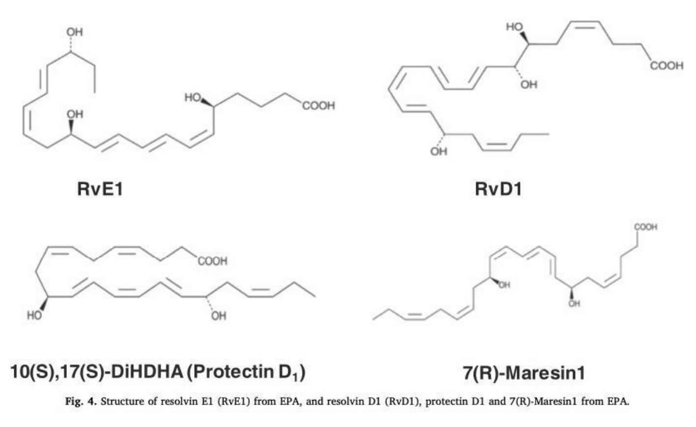 Solved What does 10S , 17S mean in Protectin structure What | Chegg.com