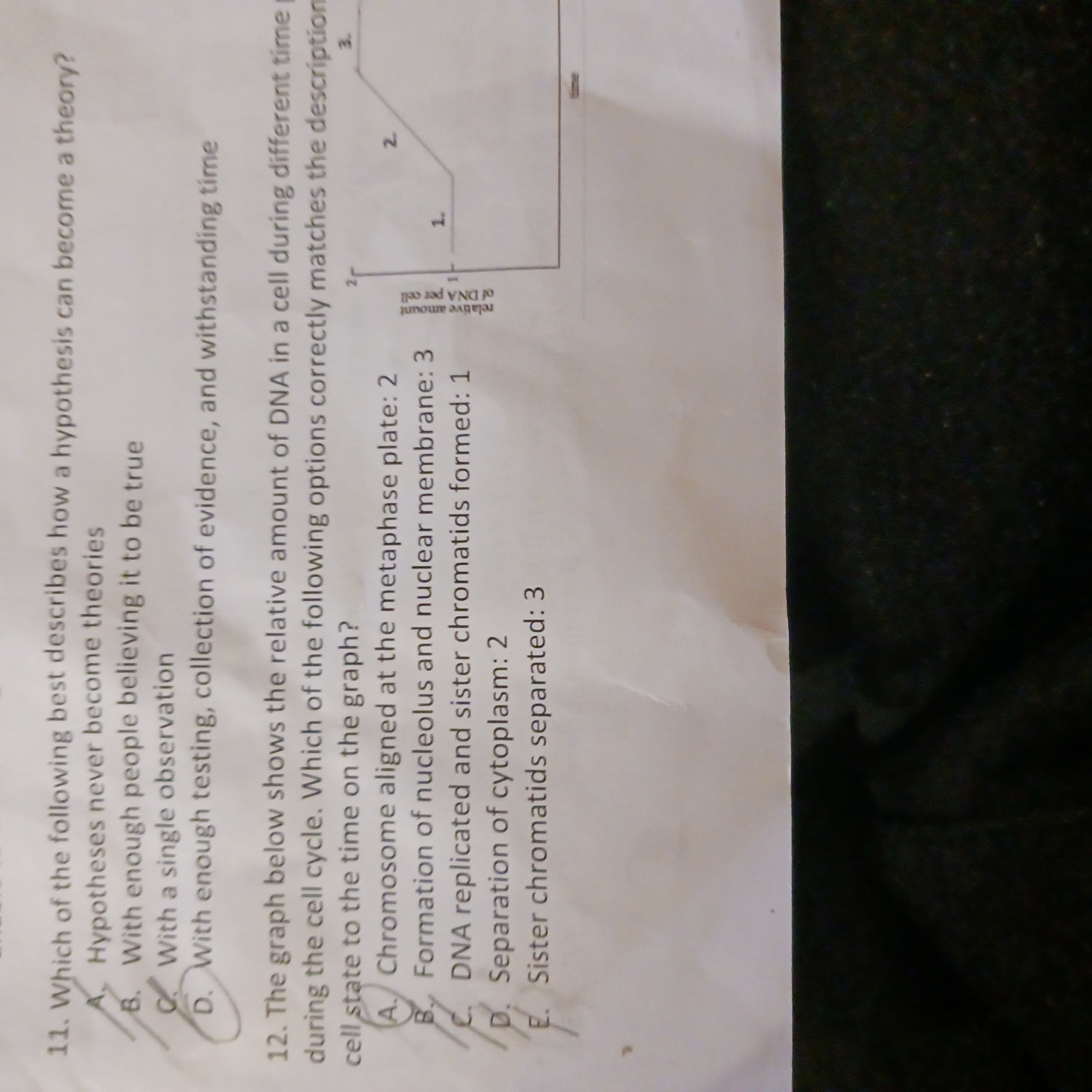 Solved The graph below shows the relative amount of DNA in a | Chegg.com