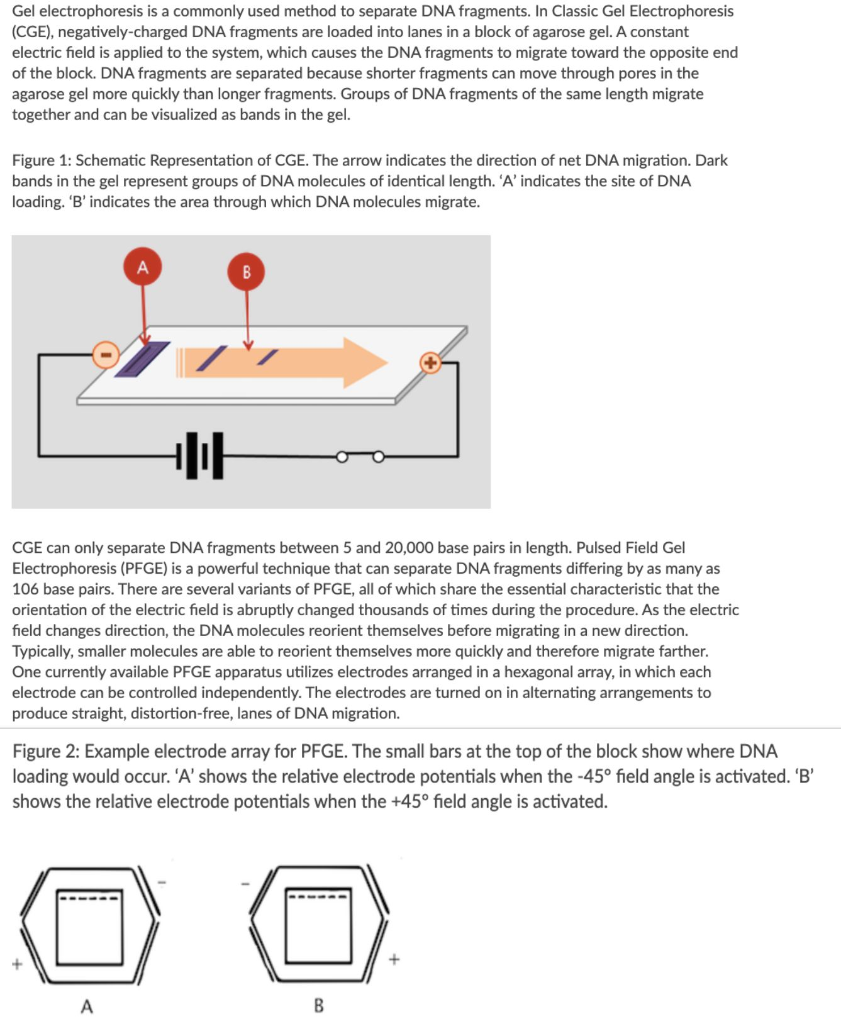 Gel electrophoresis is a commonly used method to | Chegg.com