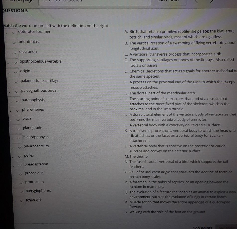 Solved UESTION 5 Match the word on the left with the | Chegg.com