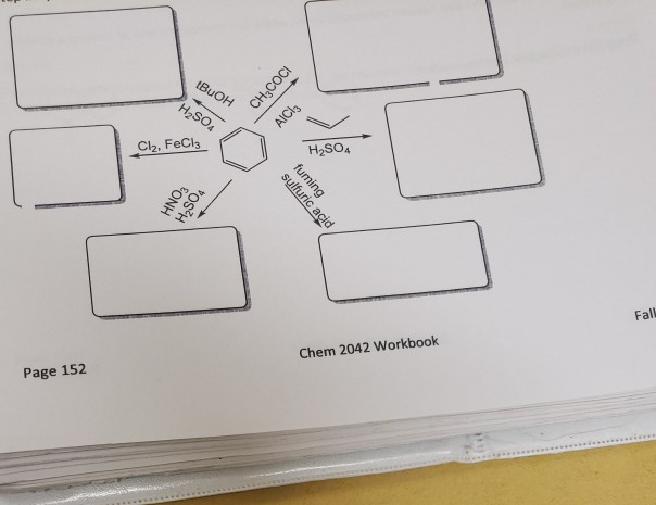 Solved Cl2, FeCl3 H2SO4 Fall Page 152 Chem 2042 Workbook | Chegg.com