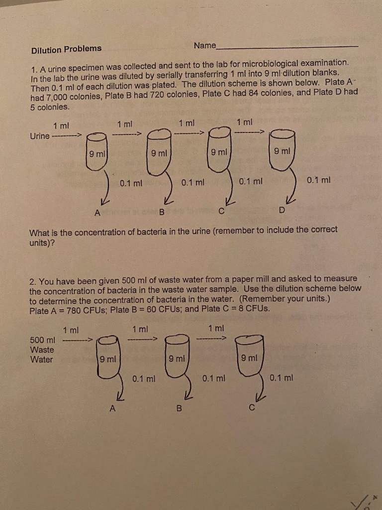 Solved Name Dilution Problems 1. A urine specimen was | Chegg.com