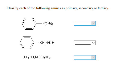 Solved Classify each of the following amines as primary, | Chegg.com