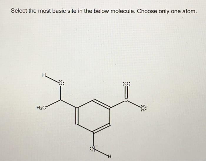 Solved Select the most basic site in the below molecule. | Chegg.com