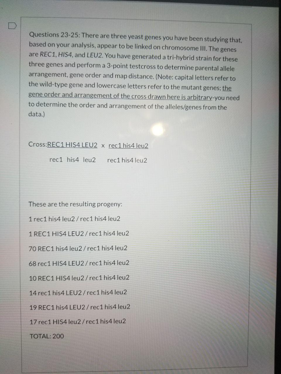 Question 26 4 pts 26. (4 points) Based on the genetic | Chegg.com
