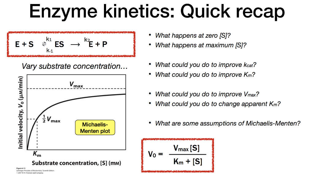 Solved Enzyme Kinetics Quick Recap E S K1 ES K 1 KE P Chegg