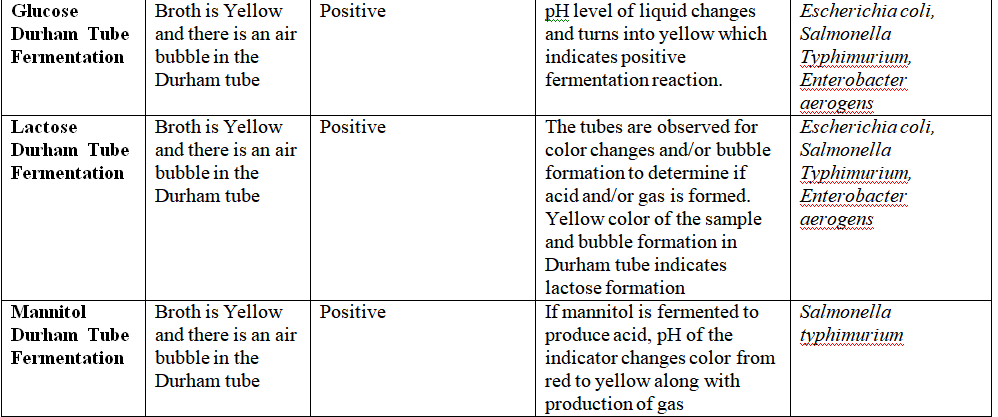 Solved Positive Glucose Durham Tube Fermentation Broth is | Chegg.com