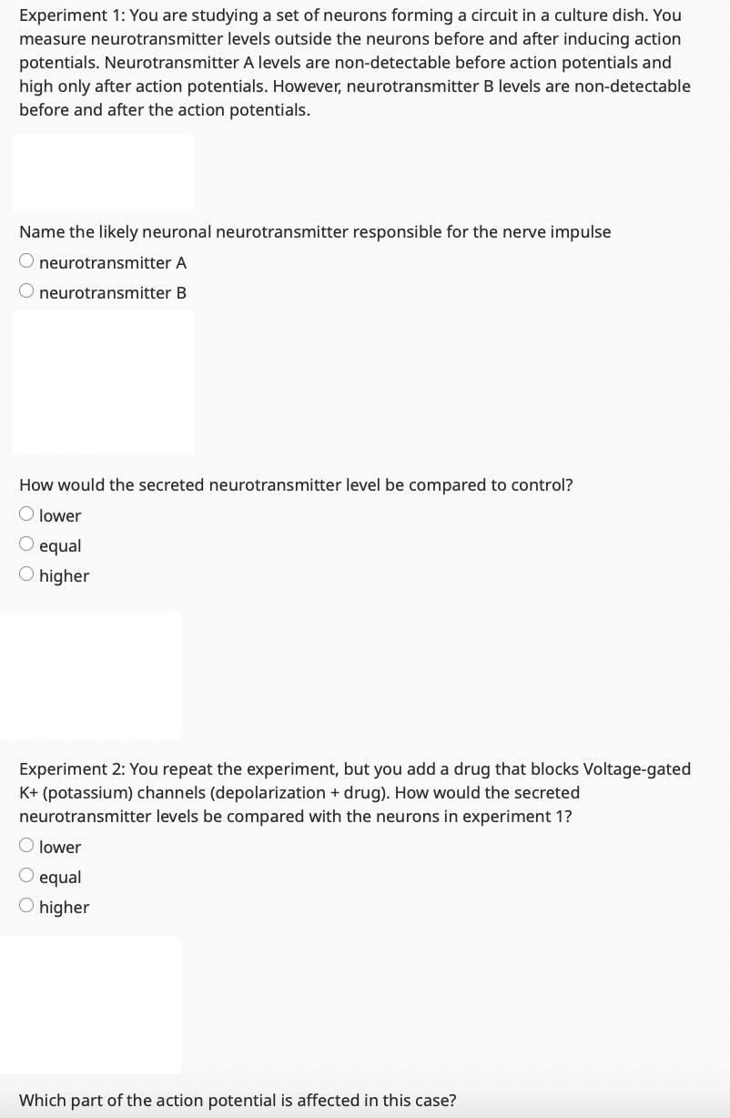 Solved Experiment 1: You are studying a set of neurons | Chegg.com