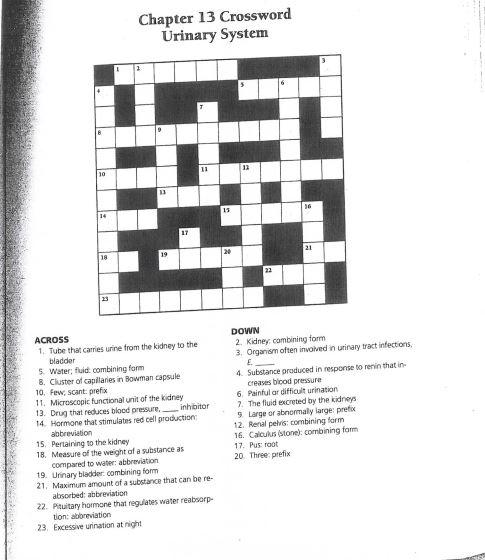 Solved Chapter 13 Crossword Urinary System 11 13 10 33 56 15 | Chegg.com