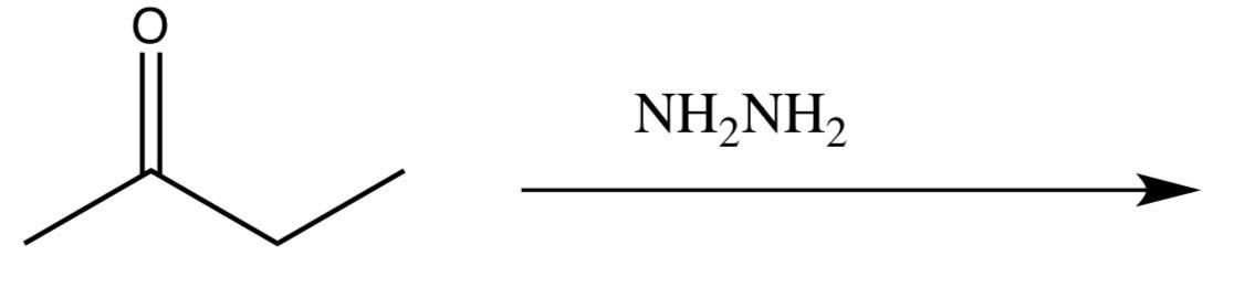 Solved NH,OH O NH2NH2 CH3NH2 | Chegg.com