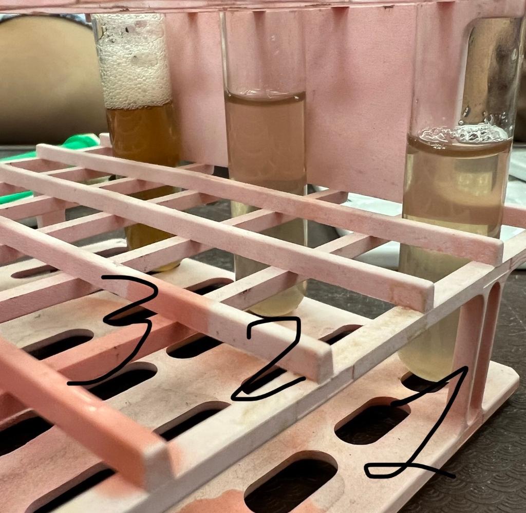 Solved This is Experiment 4.2 (Catechol, Potato Extract, | Chegg.com