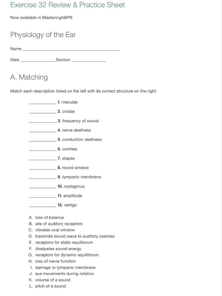 Solved Exercise 32 Review & Practice Sheet Now available in | Chegg.com