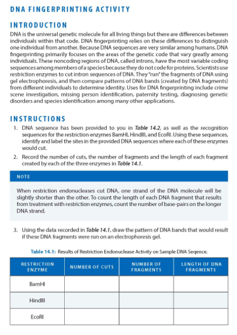 Solved DNA FINGERPRINTING ACTIVITY INTRODUCTION DNA is the | Chegg.com
