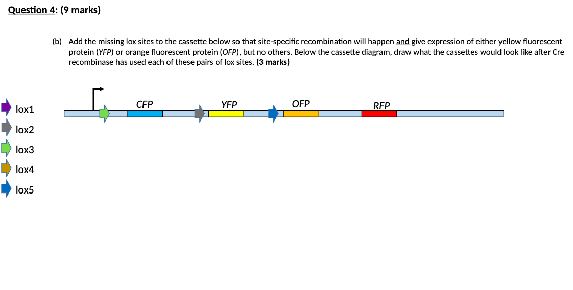 The Brainbow method makes use of green fluorescent | Chegg.com