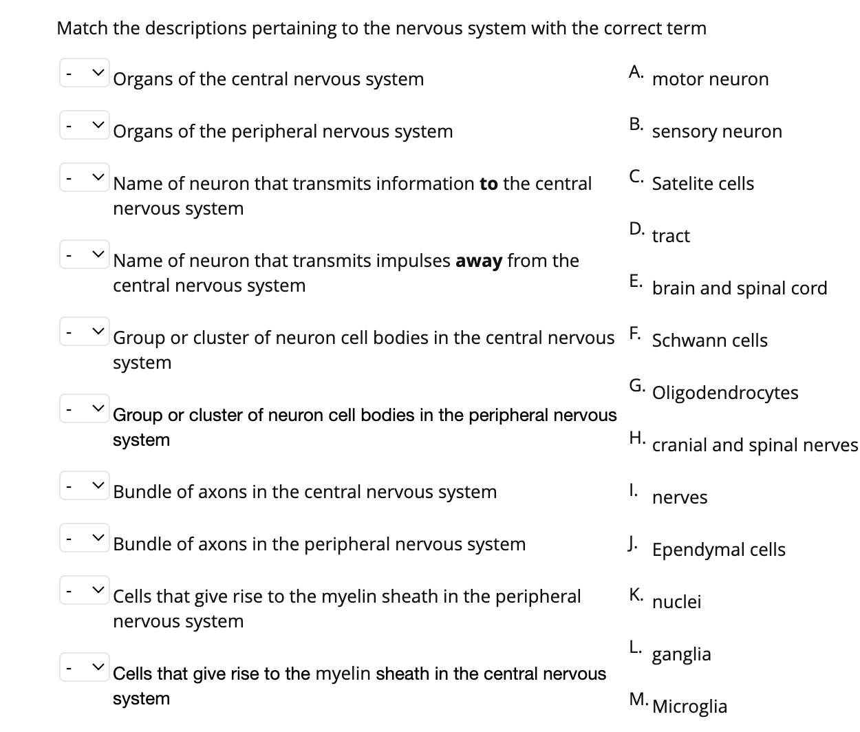 Solved Match the descriptions pertaining to the nervous | Chegg.com