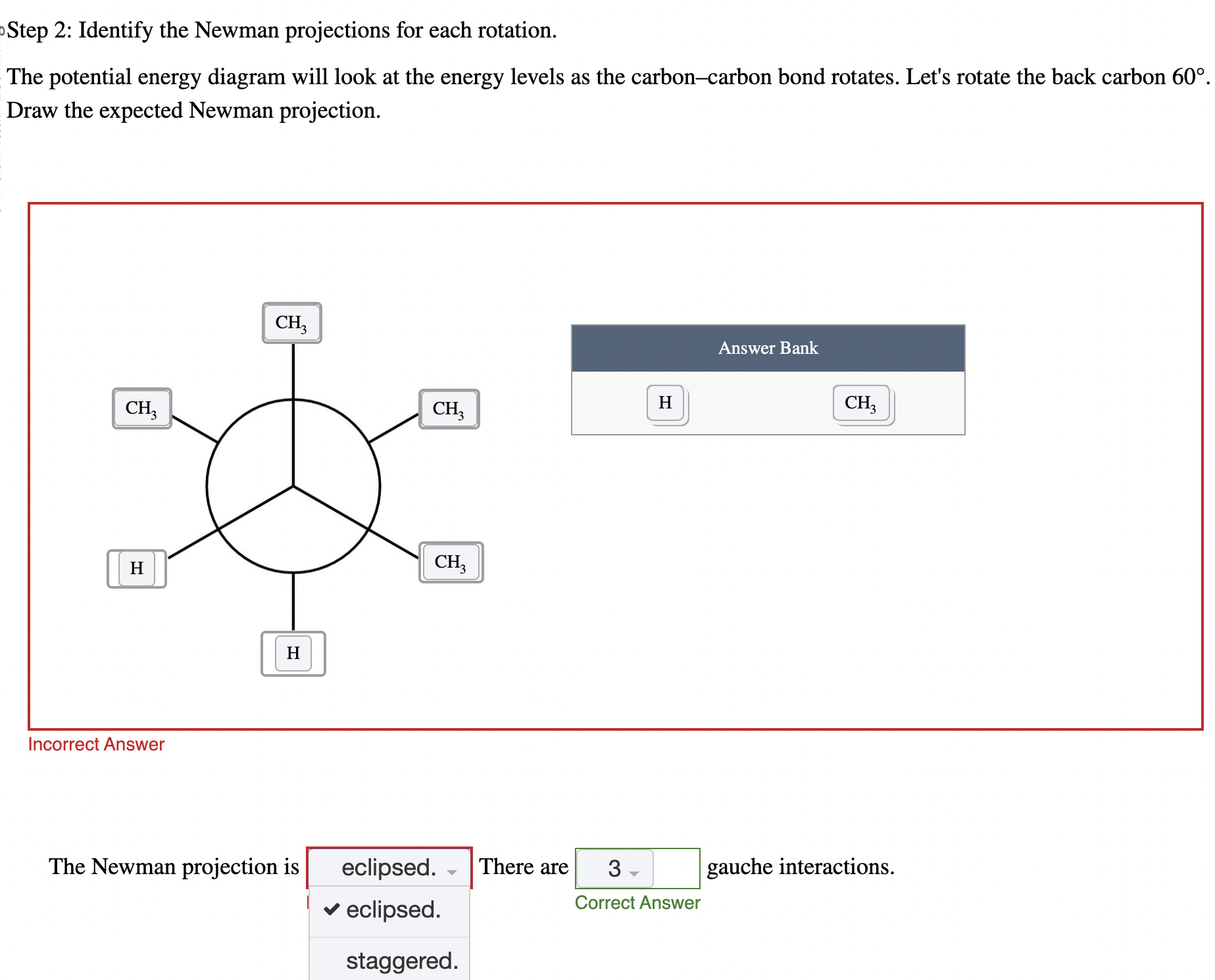 Solved Step 2: Identify the Newman projections for each | Chegg.com
