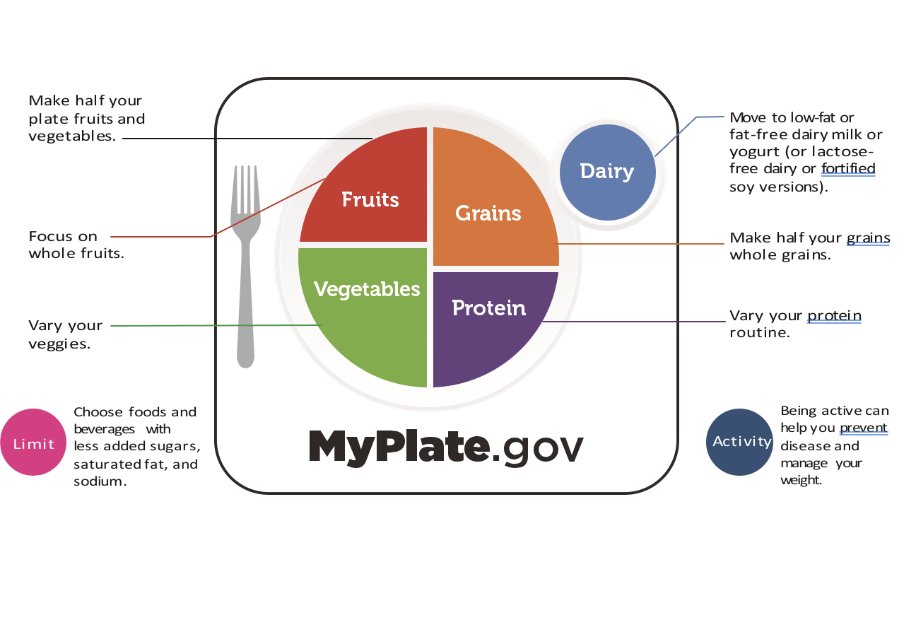 Solved Directions; Using the MyPlate diagram as your guide, | Chegg.com