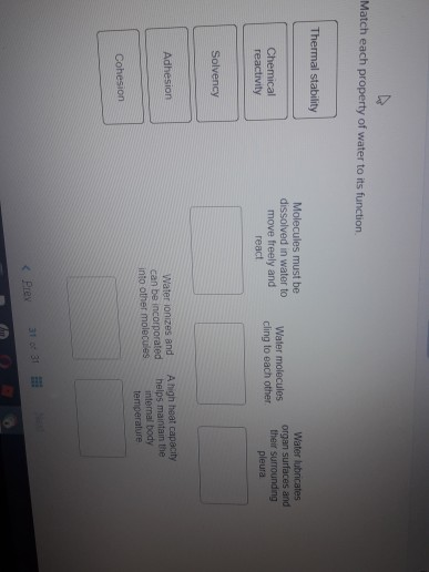Solved Match each property of water to its function Thermal | Chegg.com