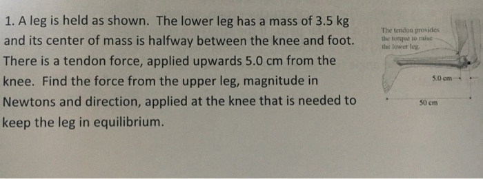 Solved 1. A leg is held as shown. The lower leg has a mass | Chegg.com