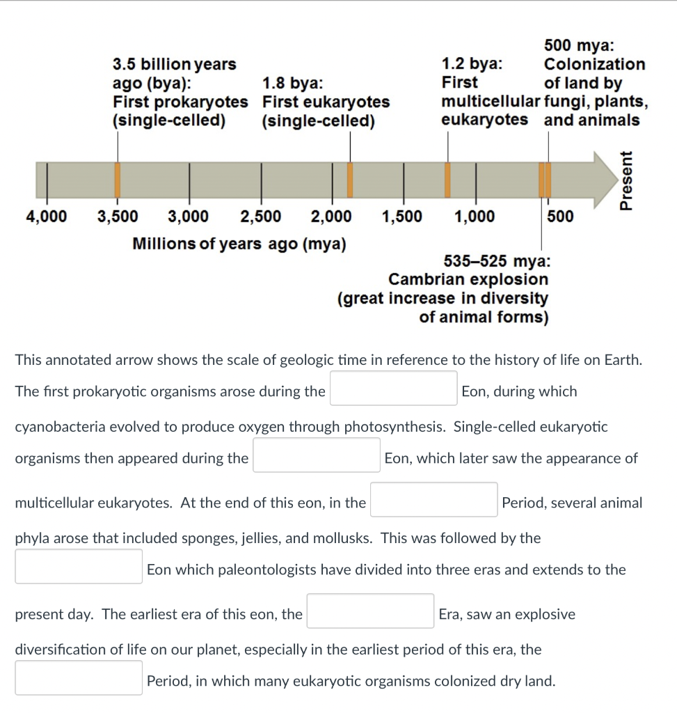 Solved This annotated arrow shows the scale of geologic time | Chegg.com