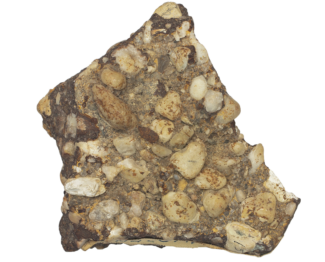 Solved Based on what you can see in the picture of a | Chegg.com