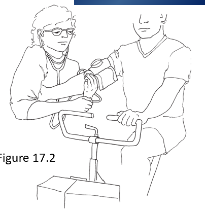 Solved When measuring blood pressure, why is it important | Chegg.com