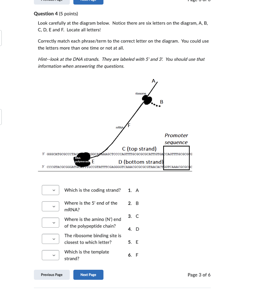 Solved Question 4 (5 points) Look carefully at the diagram | Chegg.com