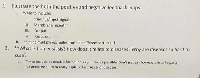 Solved 1. Illustrate the both the positive and negative | Chegg.com