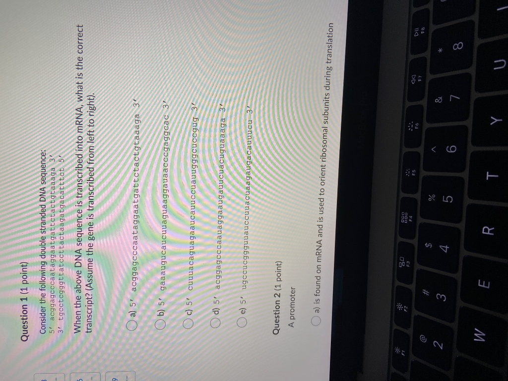 Solved Question 1 (1 point) Consider the following double | Chegg.com