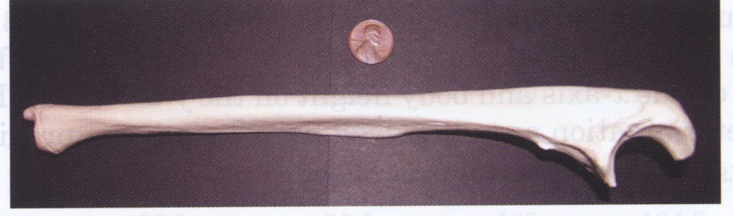 JUST ANSWER QUESTIONS NO EXPLAINATION NEEDED Question | Chegg.com