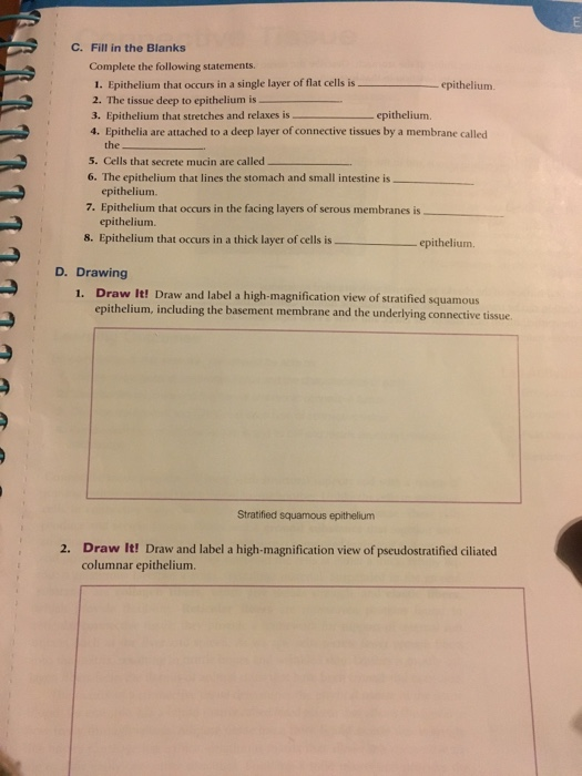 Solved C. Fill in the Blanks Complete the following | Chegg.com