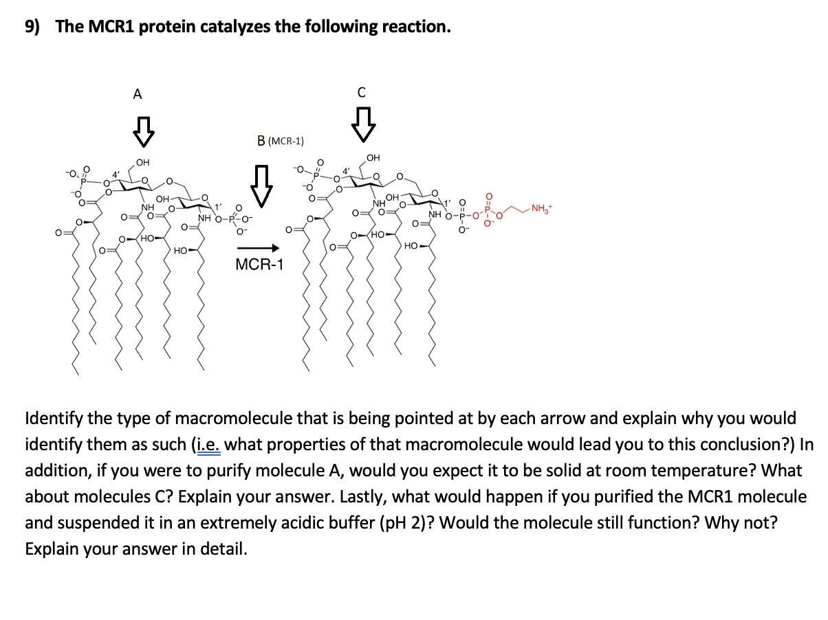 Solved 9) The MCR1 protein catalyzes the following reaction. | Chegg.com