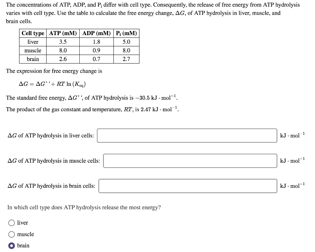 Solved The concentrations of ATP, ADP, and Pi differ with | Chegg.com