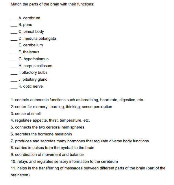 Solved Match the parts of the brain with their functions: A. | Chegg.com