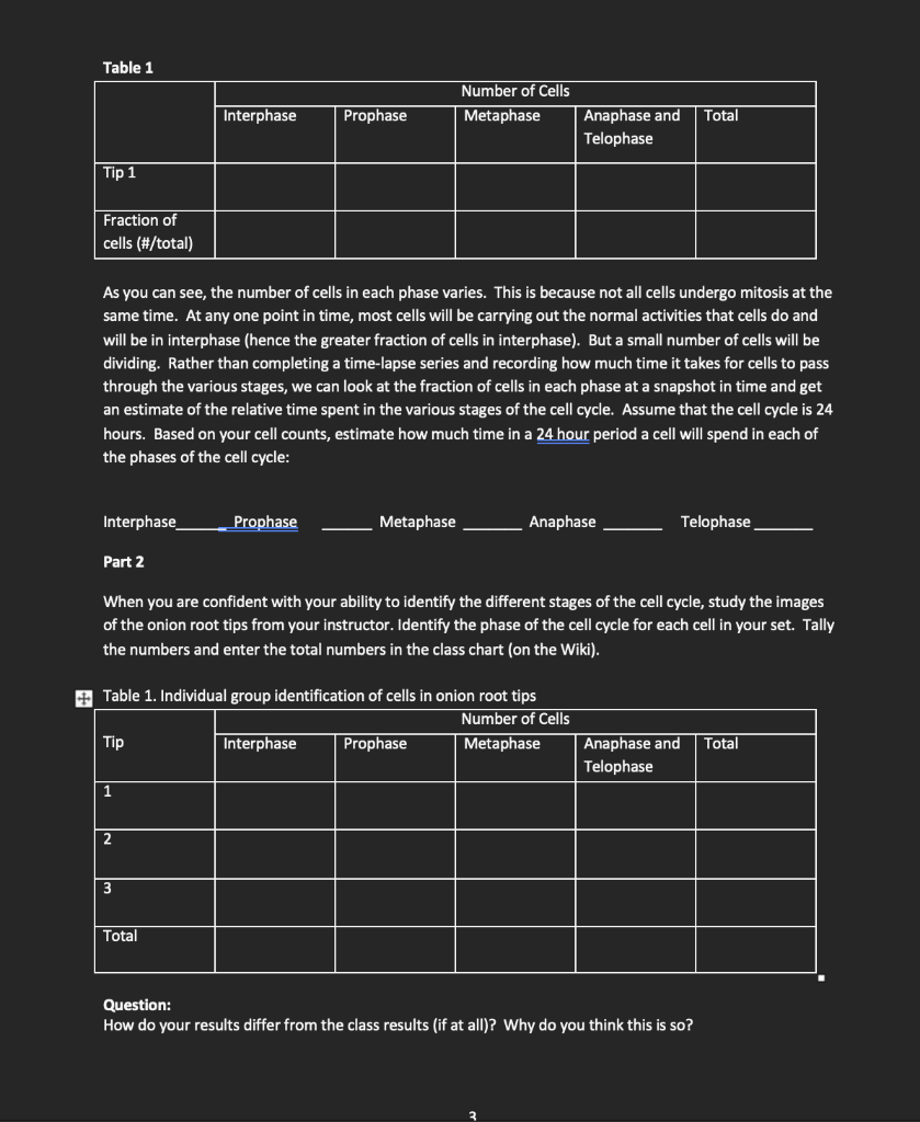 Solved Identifying stages of the cell cycle. The life | Chegg.com