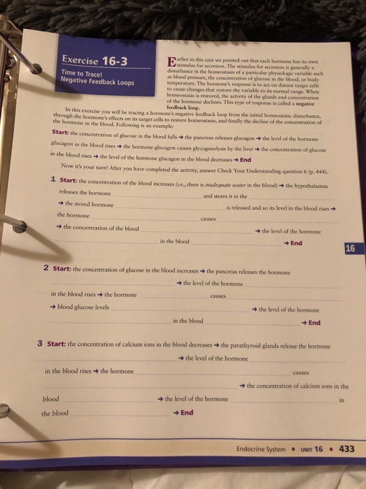 Solved Exercise 16 3 Time To Trace Negative Feedback Loops