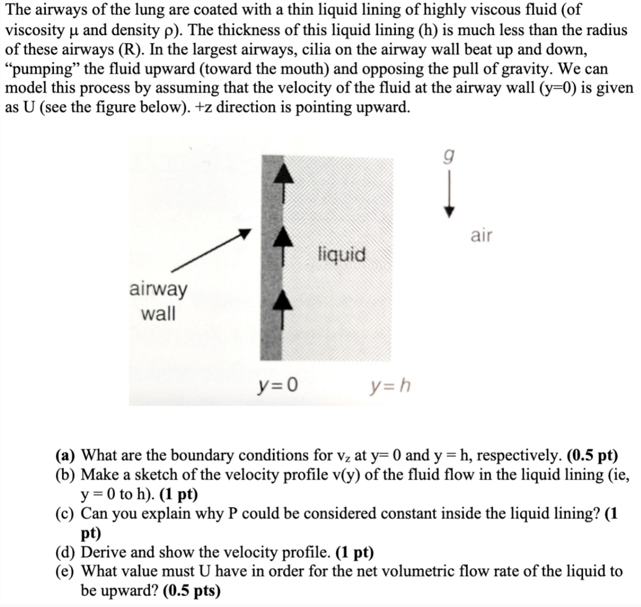 Solved The airways of the lung are coated with a thin liquid | Chegg.com