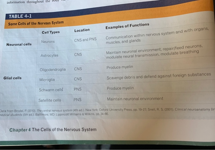 Solved Create an infographic that illustrates your | Chegg.com