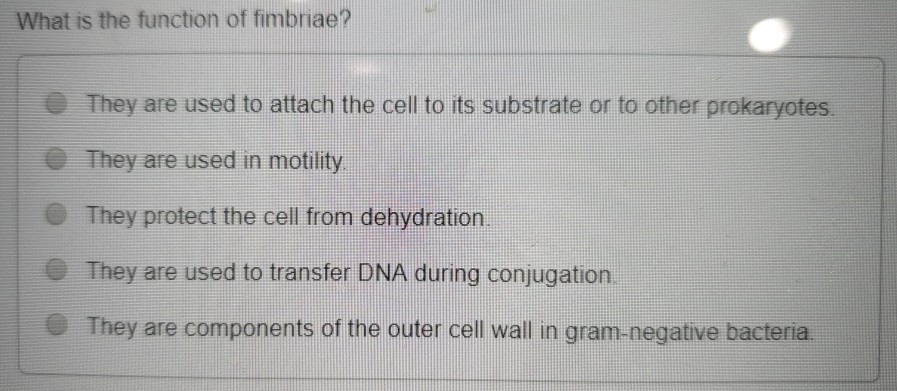 Solved What is the function of fimbriae? They are used to | Chegg.com
