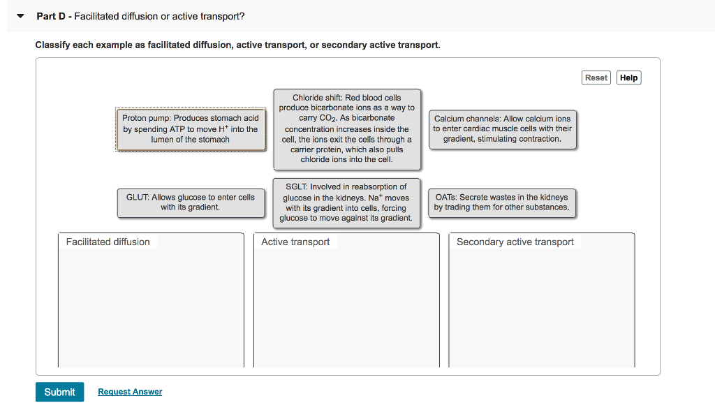 Solved Part D Facilitated diffusion or active transport? | Chegg.com