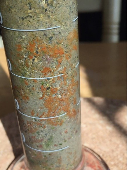 Using the reference of the Winogradsky column above, | Chegg.com