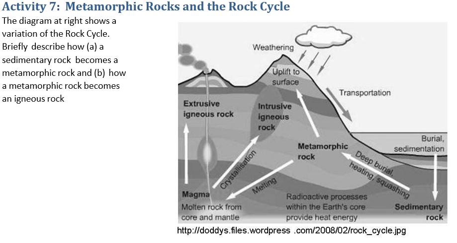 Solved Activity 7: Metamorphic Rocks and the Rock Cycle The | Chegg.com