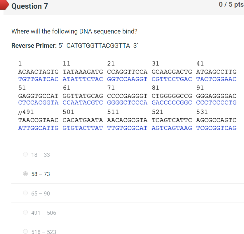 Solved Using the following forward and reverse primers, what | Chegg.com