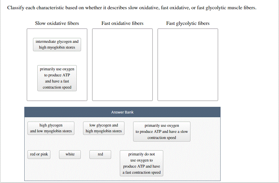 Solved Classify each characteristic based on whether it | Chegg.com